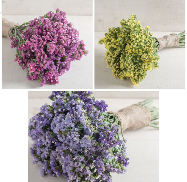 Statice Variety: Rose Shades, Light Yellow, Pastel Blue (40 seeds per ...